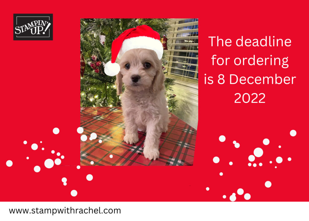 Holiday Ordering Deadline is Today! | Stamp with Rachel