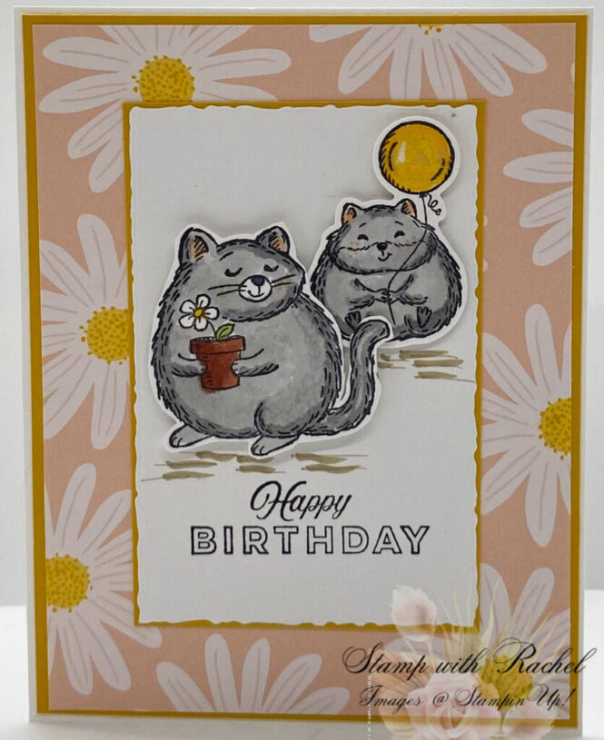 Fluffiest Friends on Wacky Wednesday | Stamp with Rachel