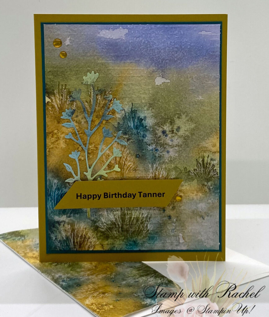 Thoughtful Journey – Happy Birthday Tanner | Stamp with Rachel