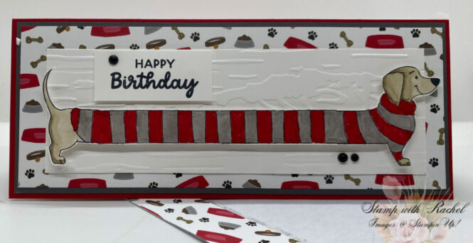 Stretching Birthday Wishes: An Adorable Dachshund Slim Card | Stamp ...